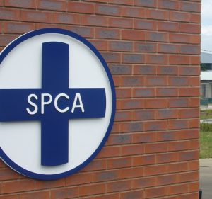 Durban & Coast SPCA - Business in eThekwini Portal