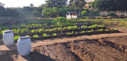 Sisonke City Farm - Business in eThekwini Portal