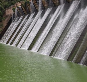 Shongweni Dam and Nature Reserve - Business in eThekwini Portal